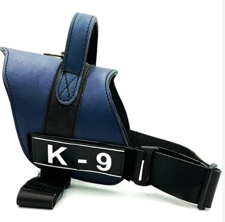 Collier K9 Design Spécial en Cuir Bleu Marine 74-92 cm | Acheter sur ...
