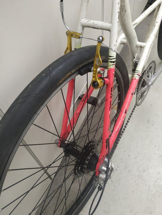 Gravel Mountain Bike Velo Retro Kult Alpinestars Cro Mega LX (Gebraucht ...