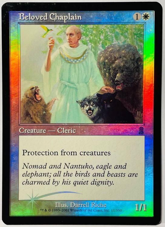 MTG - Beloved Chaplain (Foil) (Gebraucht) in Reinach BL für CHF 3.5 ...