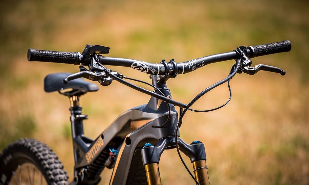 Lenker Reverse, Riser "Bobby Root Edition" 800, 35, 22,2mm (Neu (gemäss ...