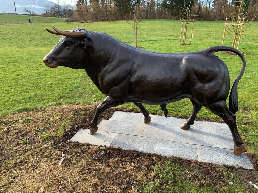 Bronze Stier (Lebensgross) | Kaufen auf Ricardo