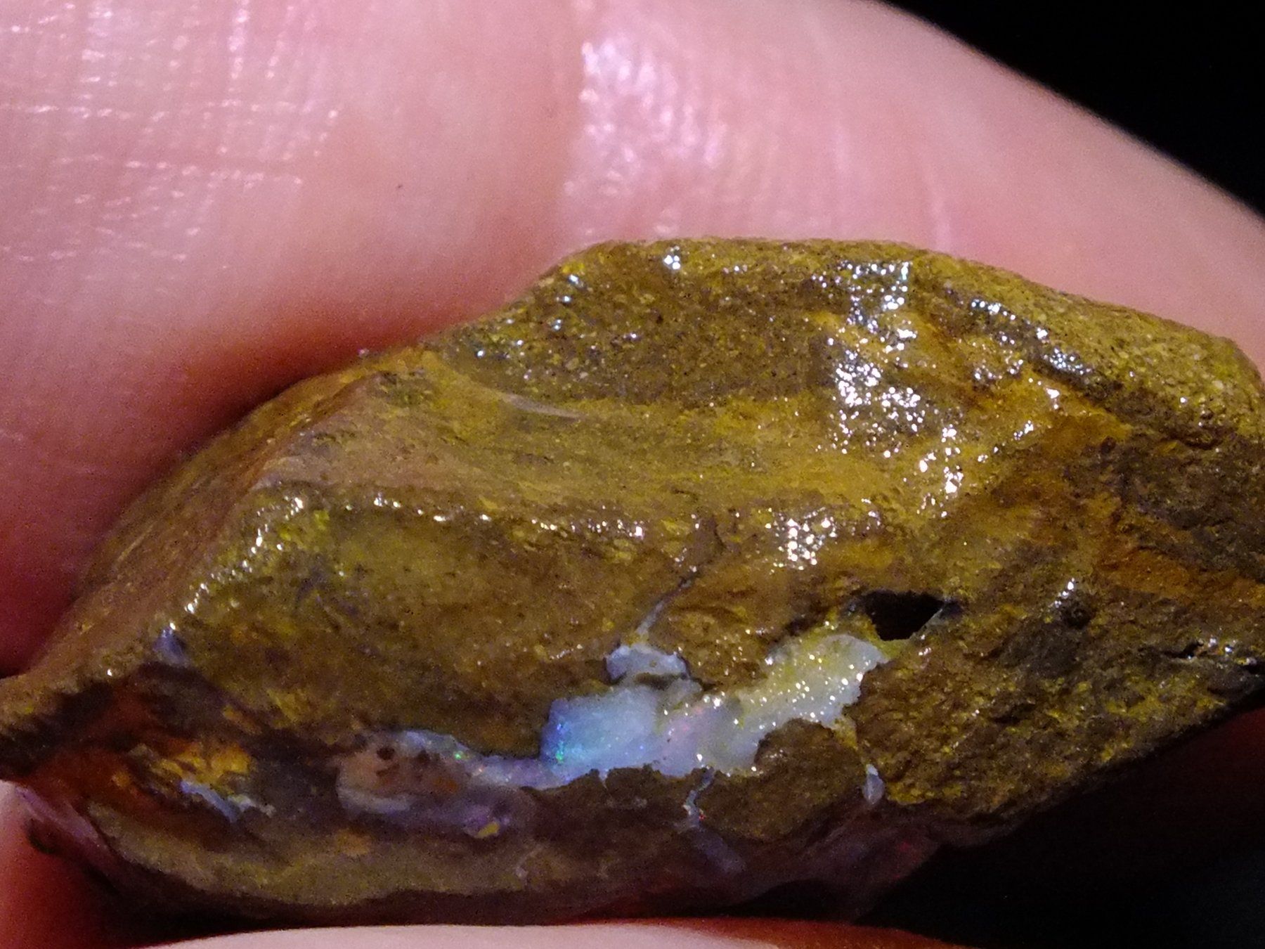 BOULDER ROH OPAL 51.60 Karat Gebot 1.- Rot Blau Grün feuer (Neu und ...