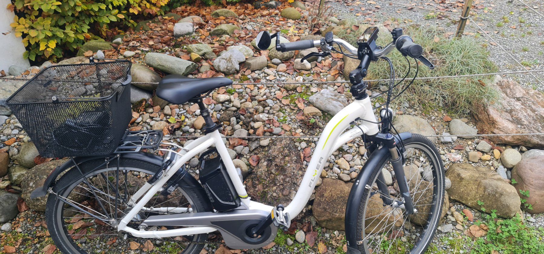 Flyer Next Generation 25 km/h,Elektrovelo,Gr.M E Bike (Gebraucht) in Hombrechtikon für CHF 950 ...