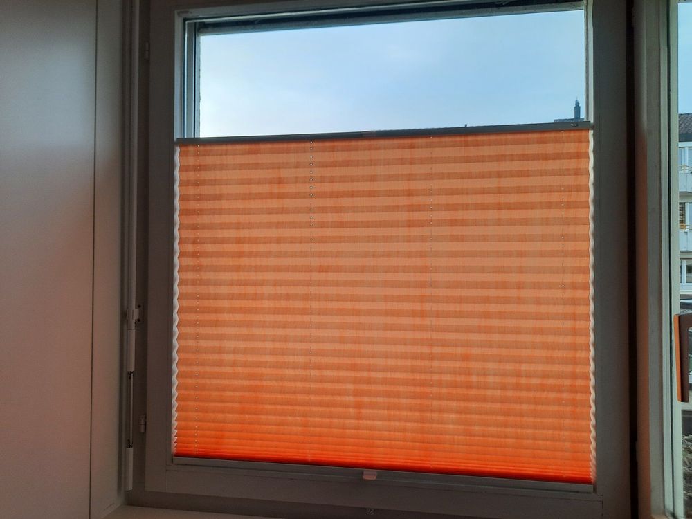 Fenster Rollo | Kaufen auf Ricardo