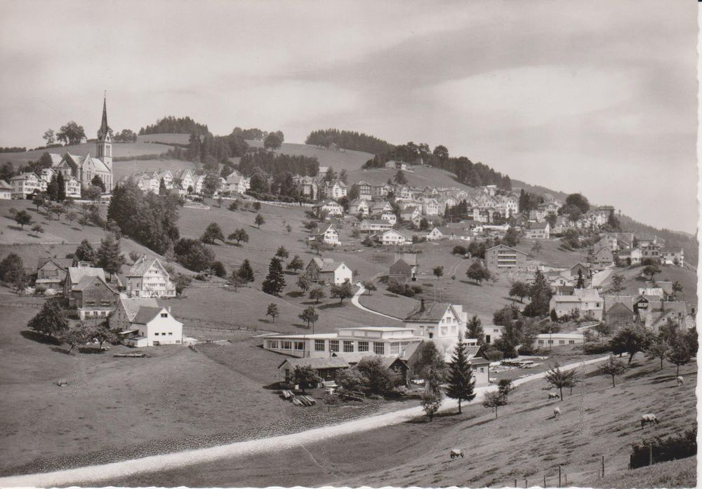 AR Rehetobel mit Sägholz | Kaufen auf Ricardo