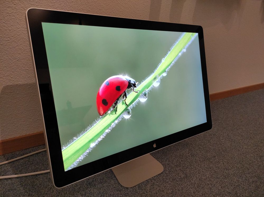 Apple LED Cinema Display 24" mit Lautsprecher und Kamera (Gebraucht) in ...
