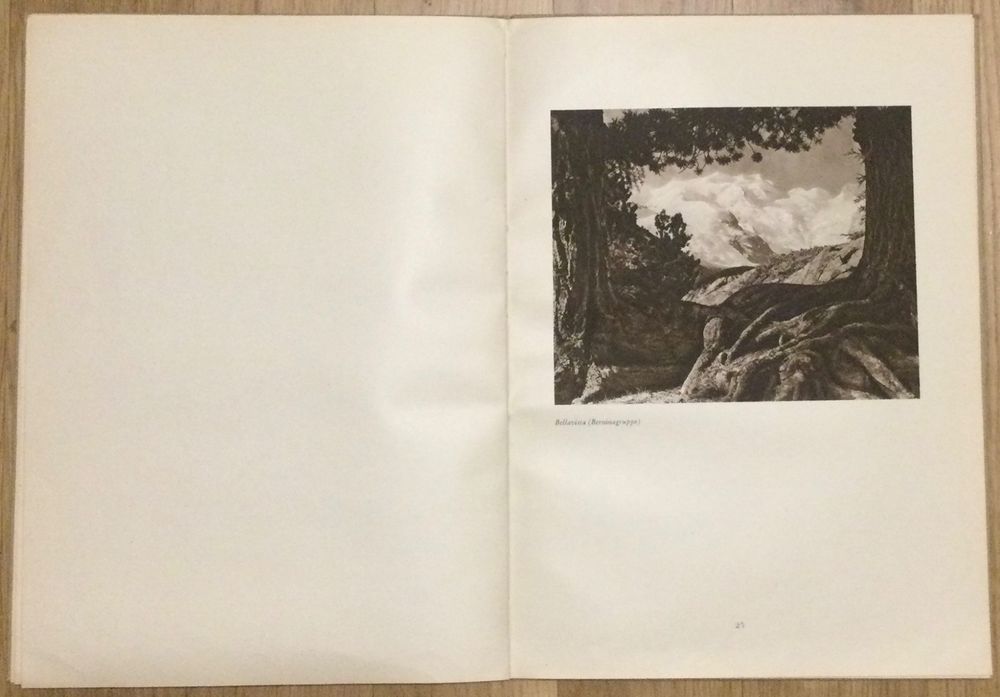 Albert STEINER (1877-1965) Engadiner Landschaften Buch (Gebraucht) in Root für CHF 85 – mit ...