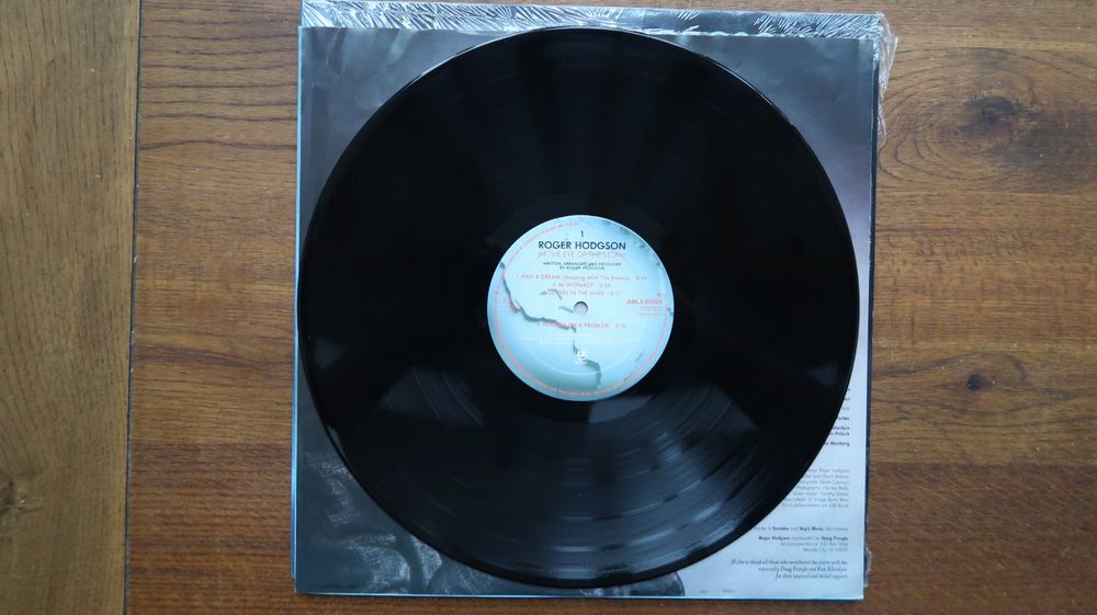Roger Hodgson - In the Eye of the Storm (Gebraucht) in Rafz für CHF 7 ...