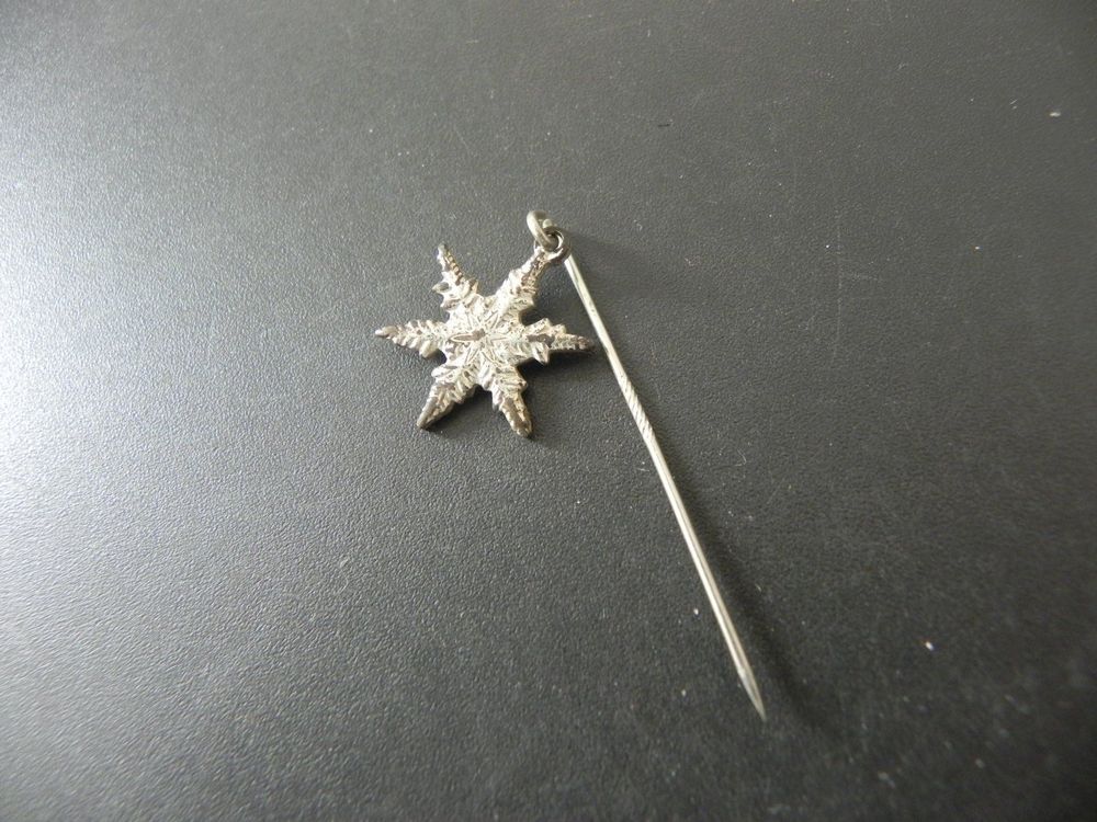 Abzeichen Winterhilfe Stern (Gebraucht) in Biel/Bienne für CHF 1 – mit Lieferung auf Ricardo kaufen