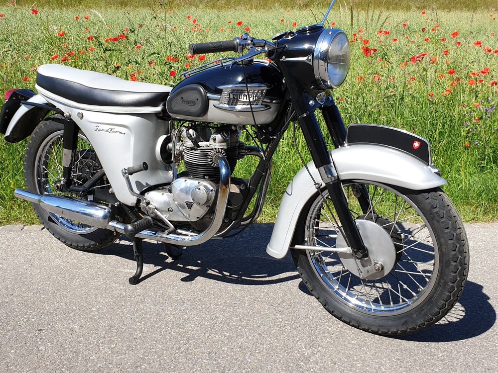 Triumph 500 Speed Twin T5A (Gebraucht) in Ebmatingen für CHF 8900 – nur ...