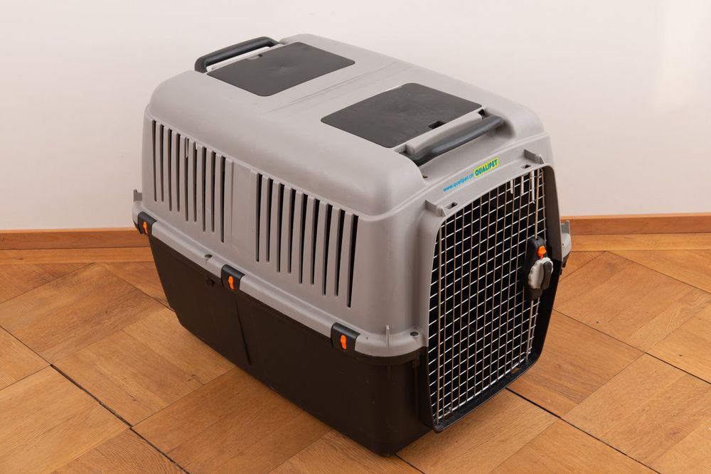 Elegantes Transportbox Hund Rcksitz Bilder