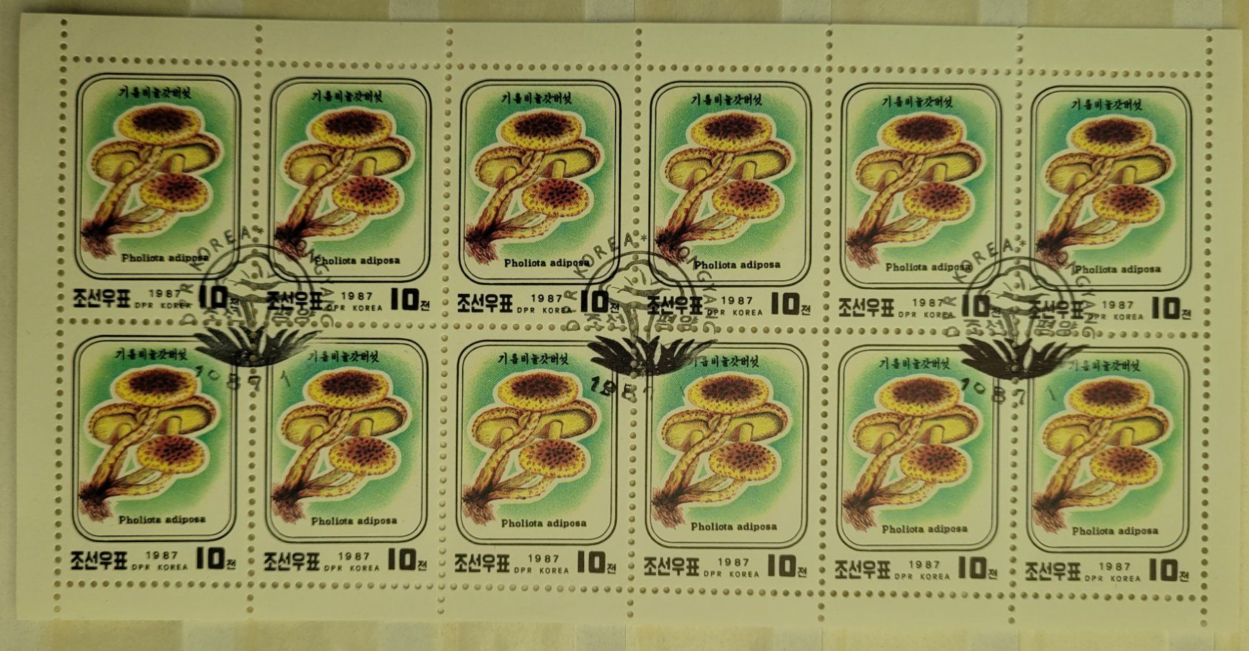 PILZE: 3 BRIEFMARKENBOGEN/CHAMPIGNONS: 3 FEUILLES DE TIMBRES (Gebraucht ...