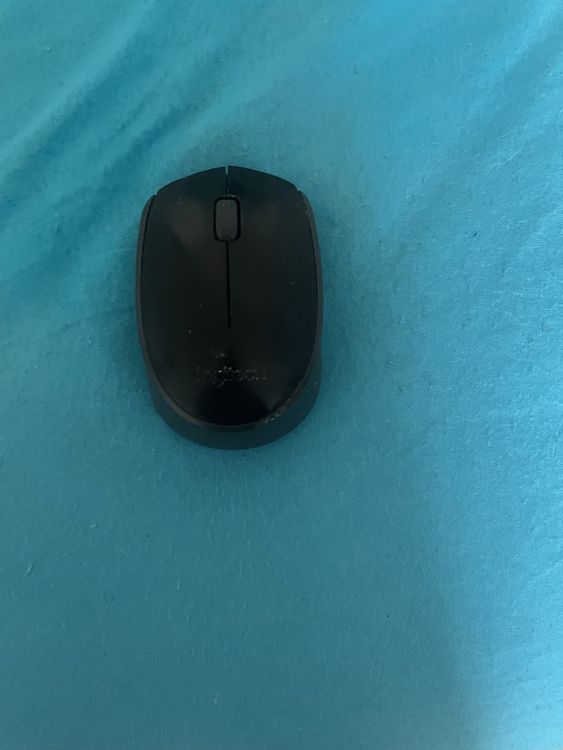 Pc maus | Kaufen auf Ricardo