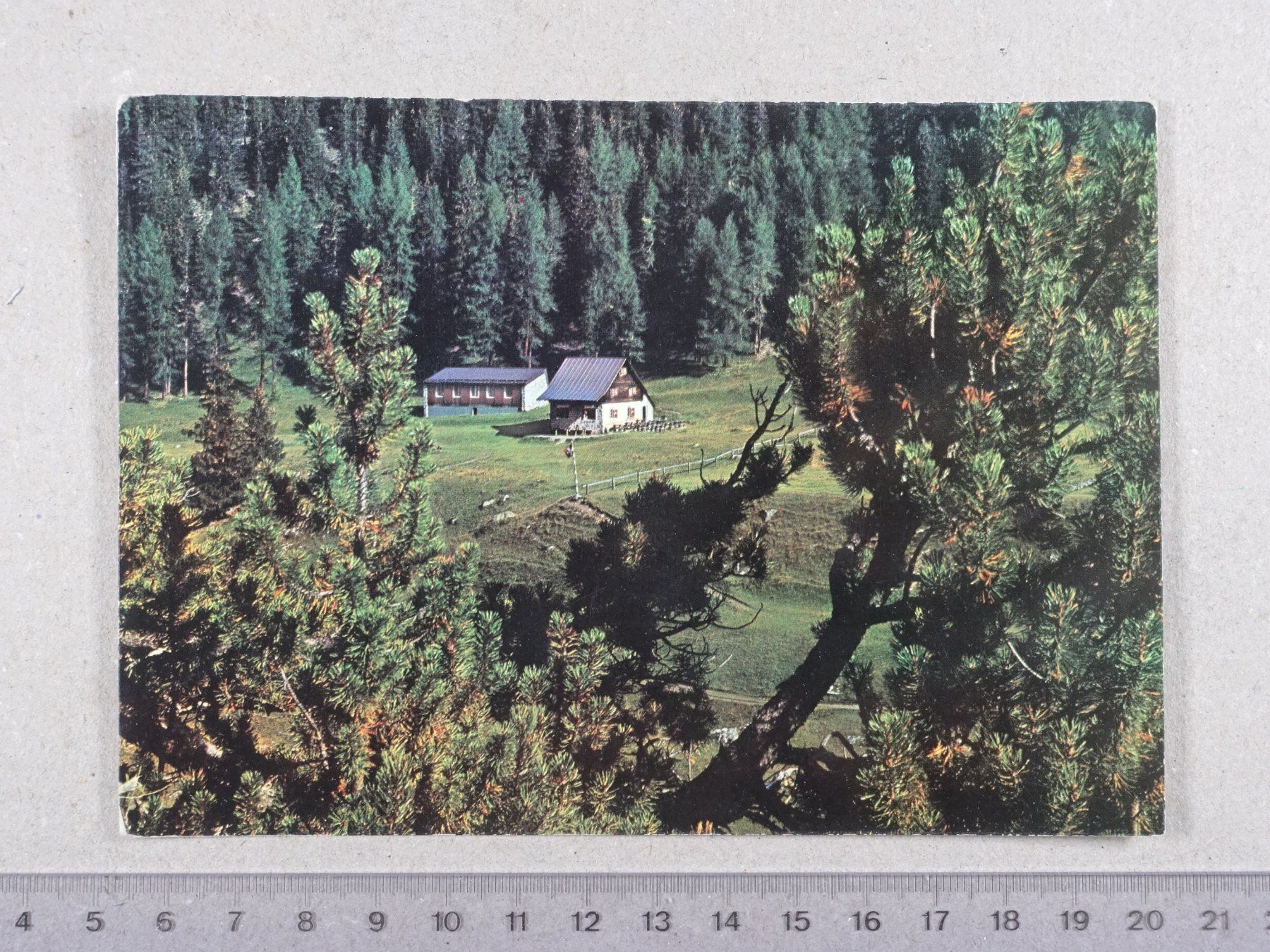 Blockhütte Varusch, 1972, Tor zum Nationalpark, Zuoz (Gebraucht) in ...