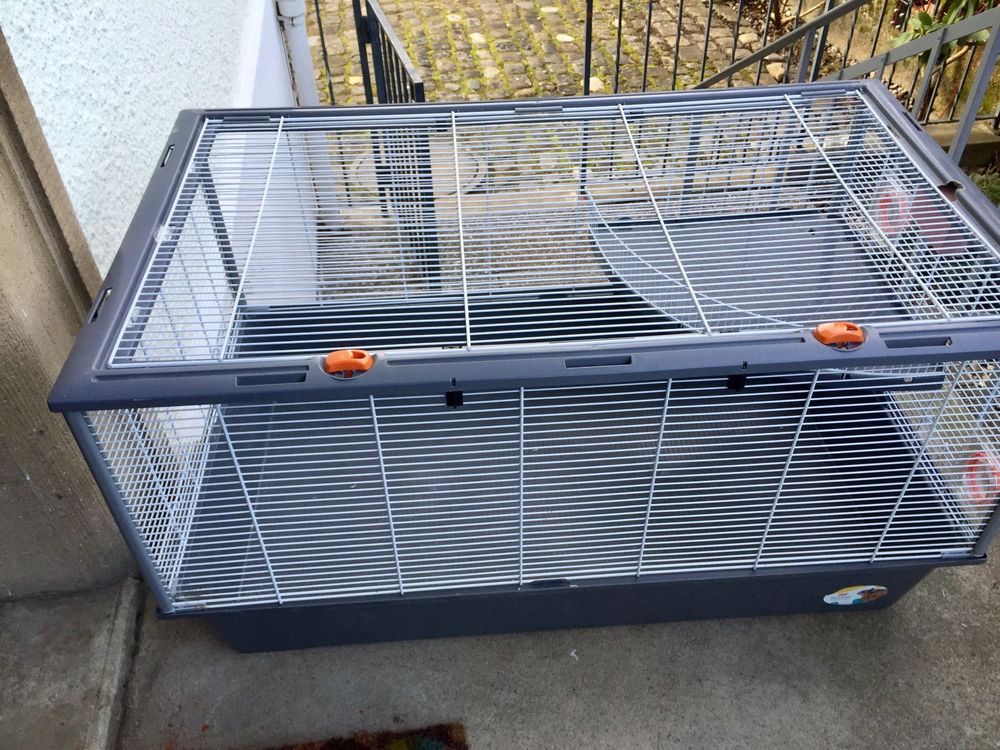 Cage pour hamster de luxe 100x50x50 | Kaufen auf Ricardo