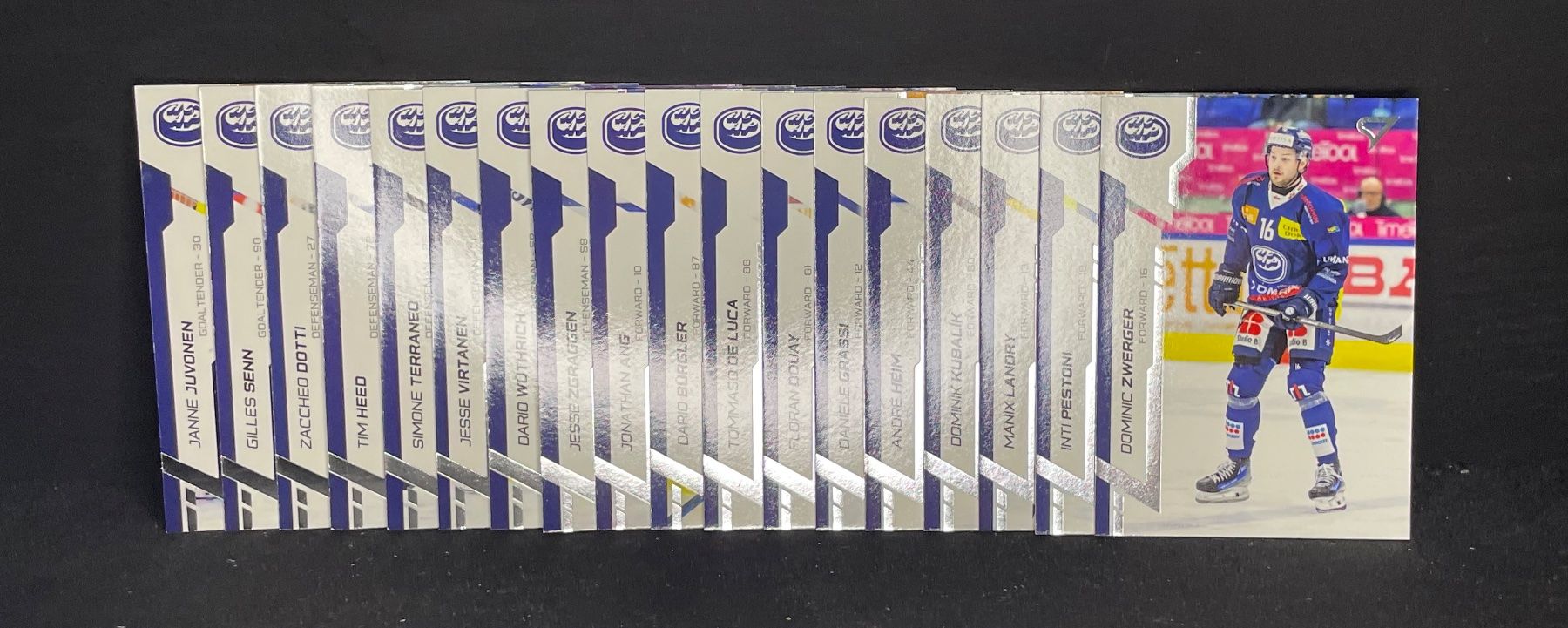 Komplettes HC Ambri-Piotta Base-set Serie 1 2024/25 (Neu (gemäss ...