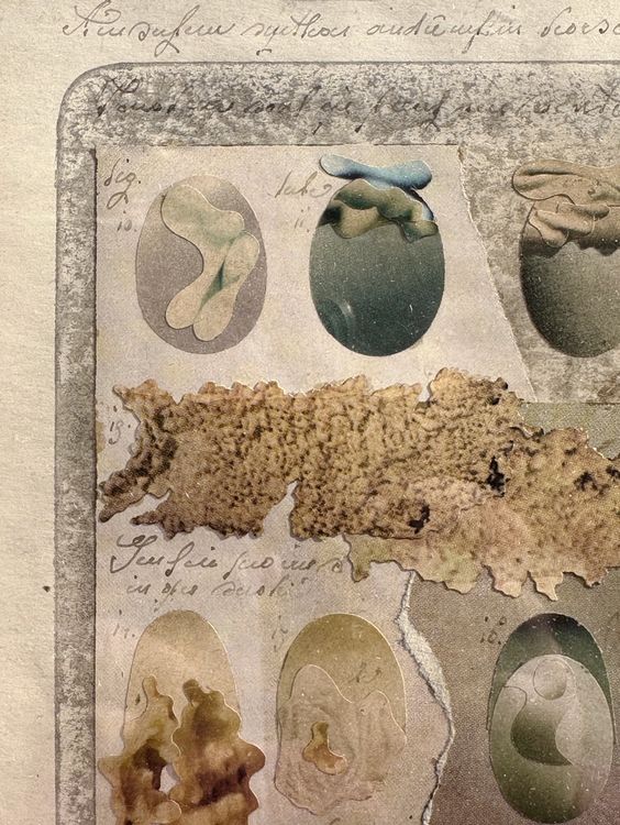 Fred Nall, American 1948 Originalbild Collage (Gebraucht) in Seltisberg ...