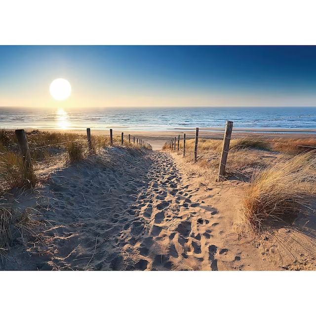 Deco-Panel »Dünenweg zum Meer« 140cm x 100cm (Neu und originalverpackt) in Zürich für CHF 2 ...