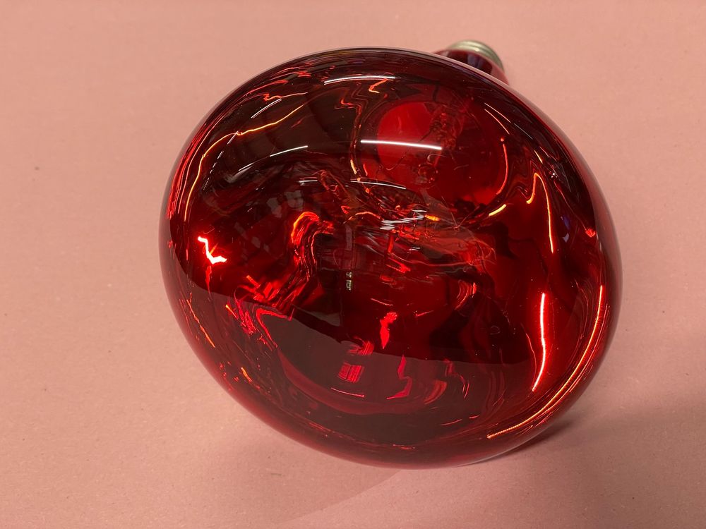 2x Philips Rotlicht Glühbirne IR Rot Licht Brut Wärme Lampe (Gebraucht ...