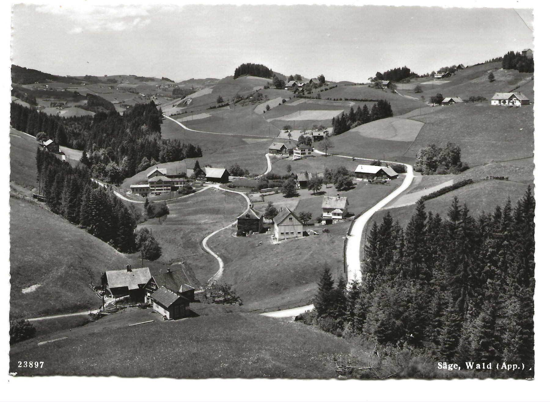 Wald (AR) Säge - echte Foto-AK - Foto Gross - um 1950 (Gebraucht) in ...