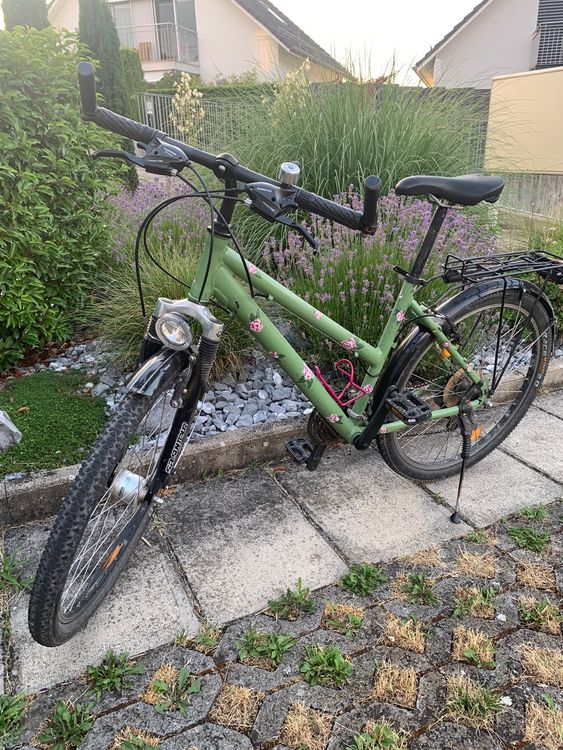 Raleigh Max Velo (Defekt) in Buonas für CHF 2 – nur Abholung auf ...