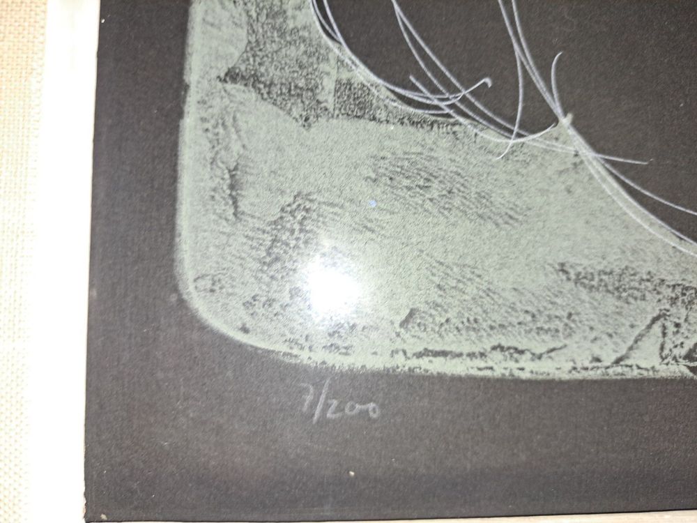 Hans Erni, 2 Pferde mit Original Unterschrift (Gebraucht) in Laupen BE für CHF 200 – nur ...