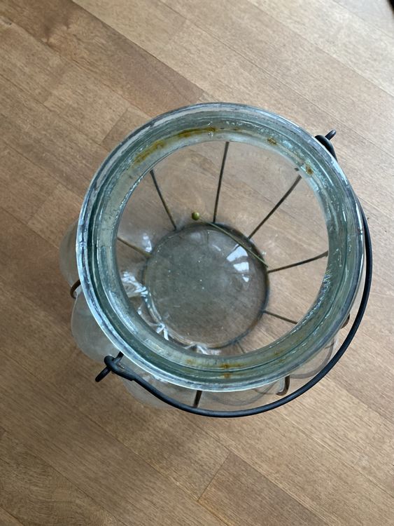 Glas Vase/Laterne/Windlicht mit Metallgestell, 30cm hoch (Gebraucht) in ...
