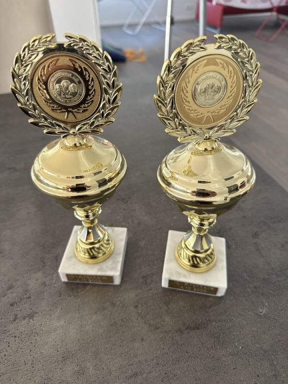 Pokale, Goldfarben, 2 Stk (Gebraucht) in Euthal für CHF 5 – mit ...