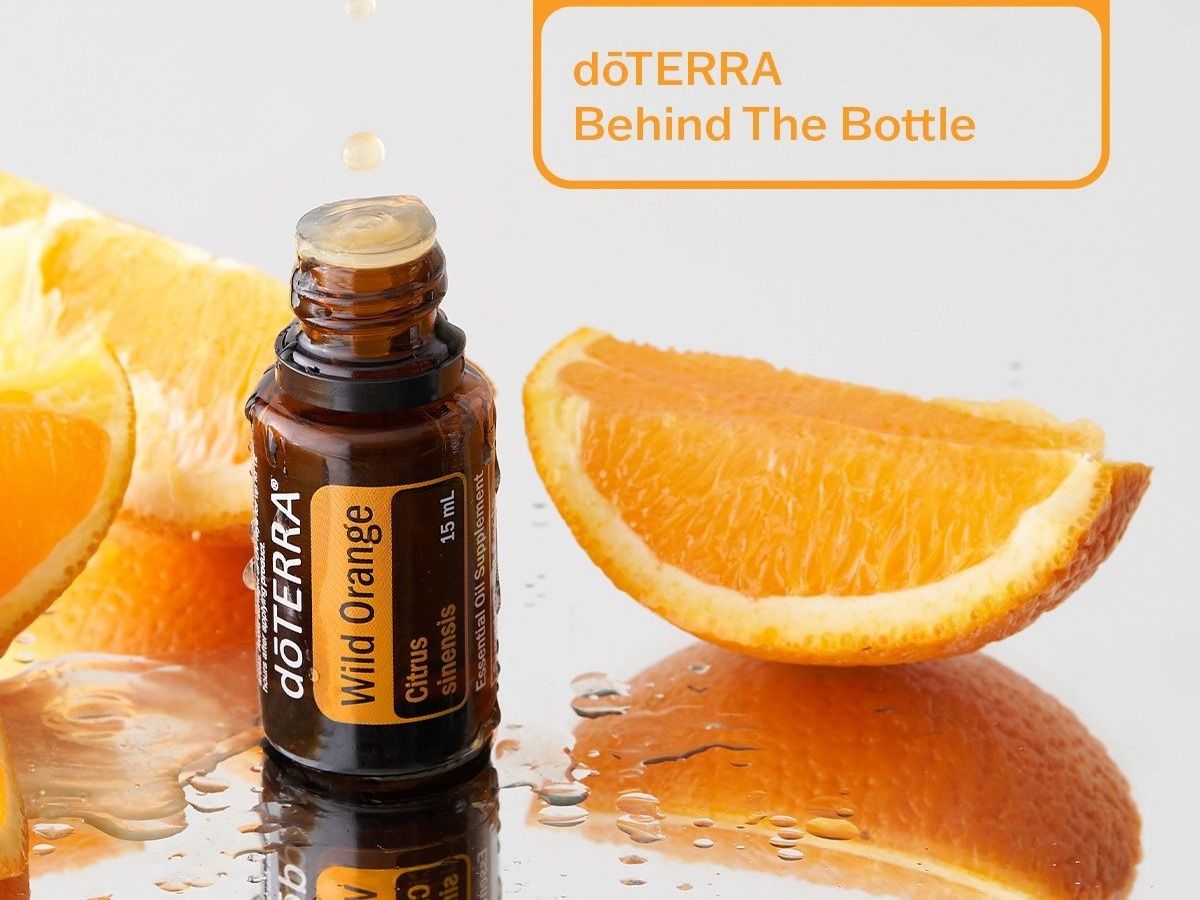 doTERRA Wild Orange ätherisches Öl 15ml NEU!!! (Neu und ...