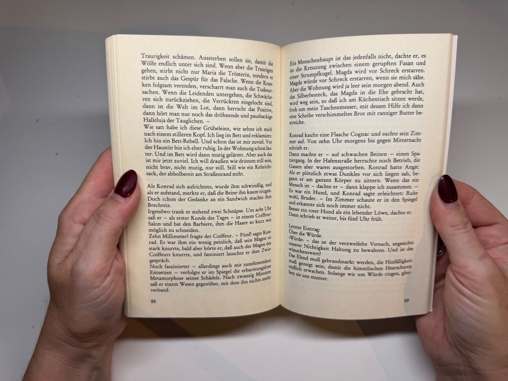 ROMAN: Markus Werner, Zündels Abgang (Gebraucht) in Grosswangen für CHF ...