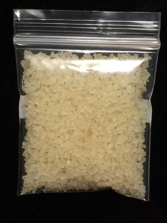 Bio Kombucha Teepilz + Ansetzflüssigkeit (Neu (gemäss Beschreibung)) in ...