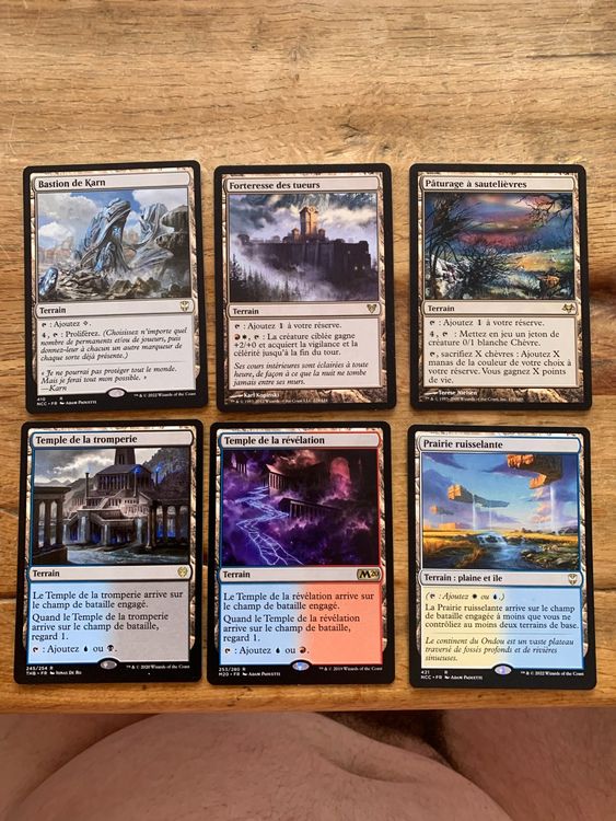 MAGIC THE GATHERING - 18 lands divers (Gebraucht) in Epautheyres für ...