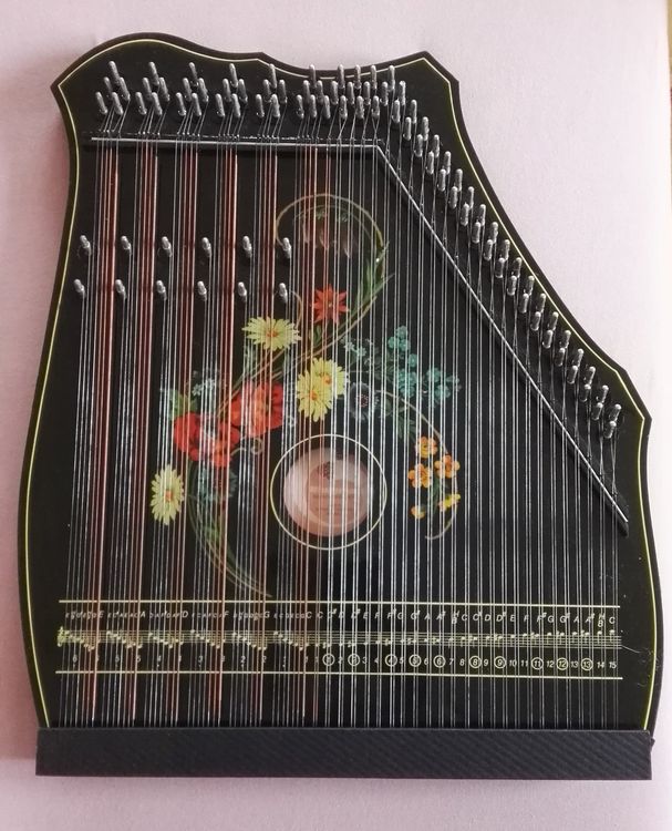 MUSIMA Akkordzither für Einsteiger mit Mandolinbesaitung | Kaufen auf ...