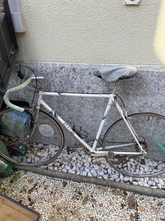 Vintage Cilo Road Bike (Gebraucht) in Zürich für CHF 100 – nur Abholung ...