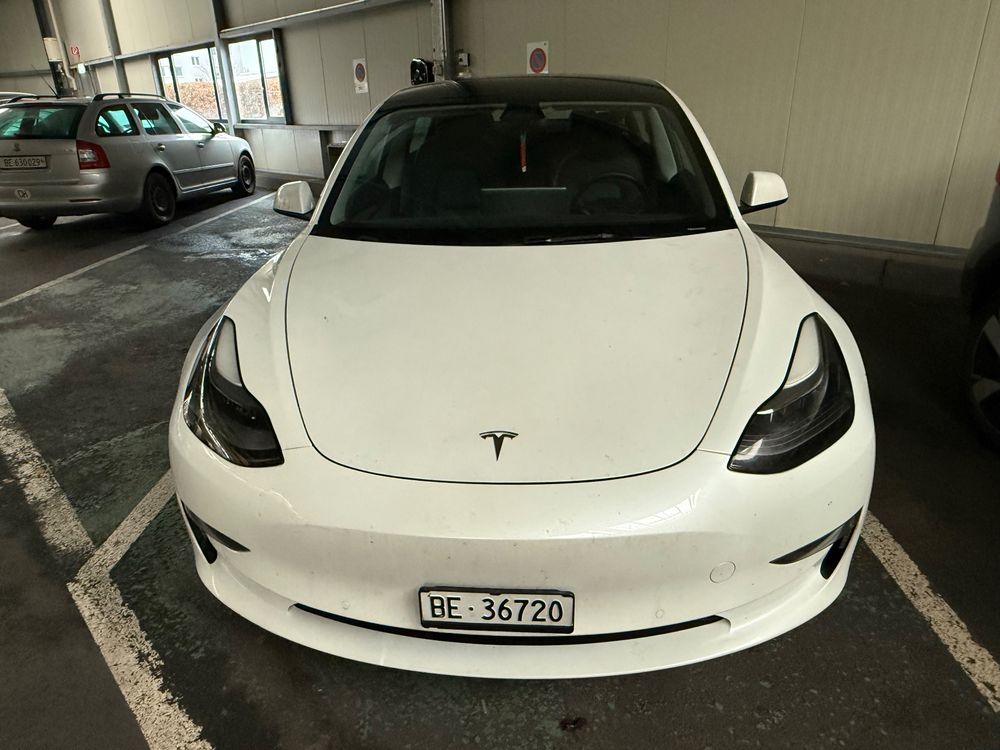 Tesla Model 3 Dual Motor aus 1. Hand (Gebraucht) in Spiez für CHF 26000 ...