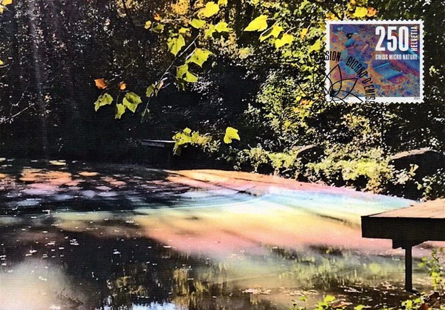 Maximumkarte Naturmuster - Pflanzenöl (Neu (gemäss Beschreibung)) in Dottikon für CHF 9.5 – mit ...