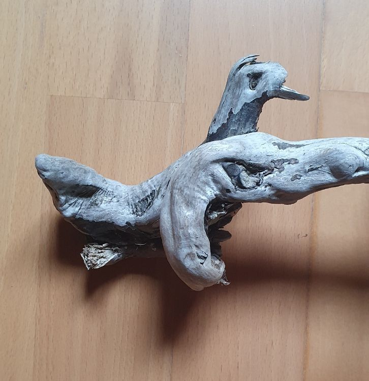 Schwemmholz (Neu und originalverpackt) in Summaprada für CHF 24 – mit Lieferung auf Ricardo kaufen