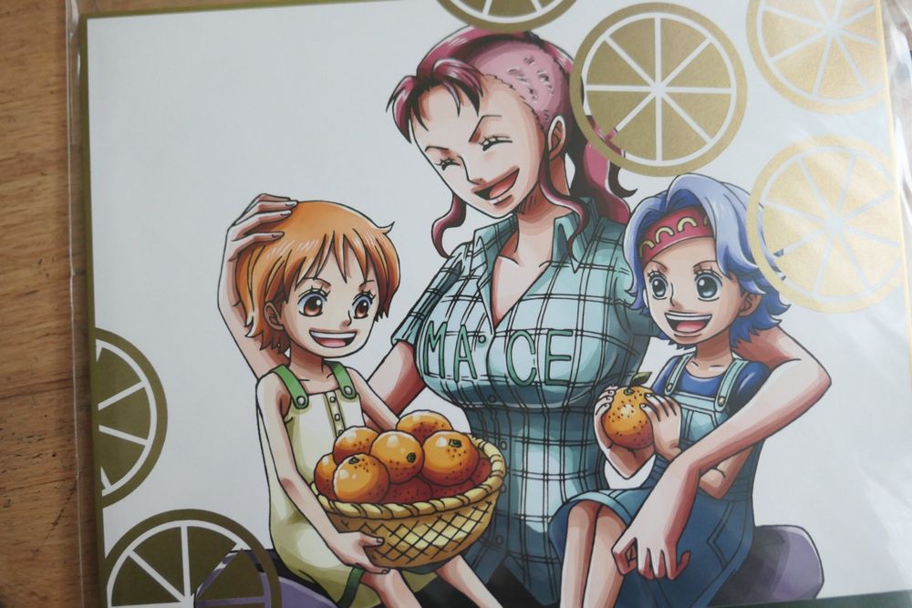 Artwork - One Piece - Nami (Neu (gemäss Beschreibung)) in Ettiswil für ...