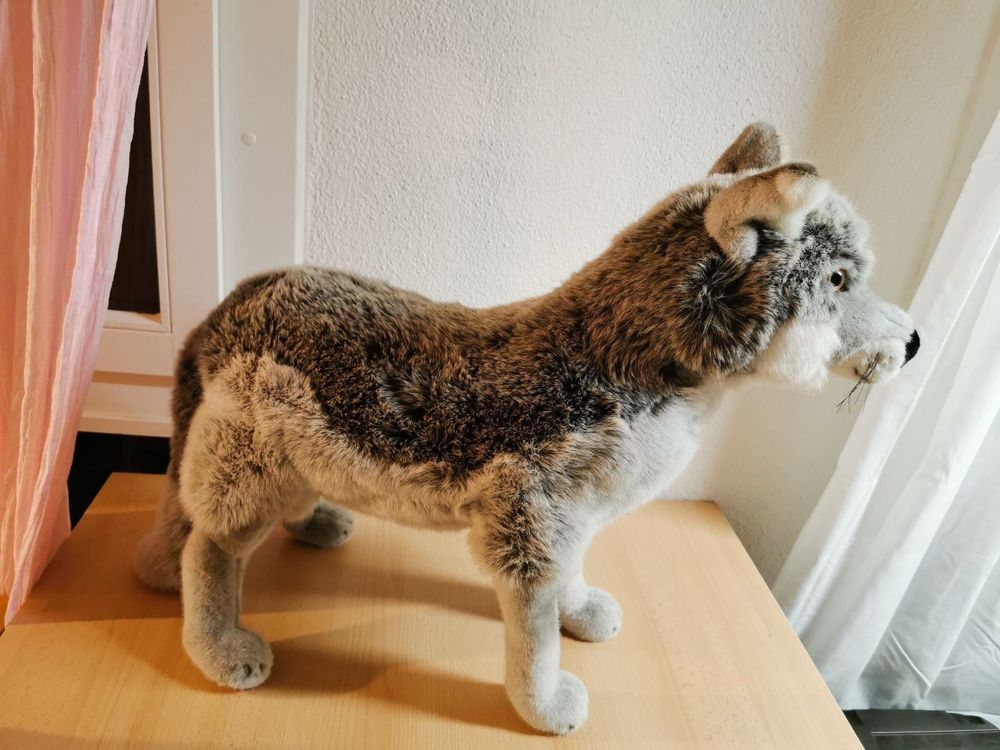 Grosser Steiff Wolf stehend Rarität! (Gebraucht) in für CHF 104 – mit ...