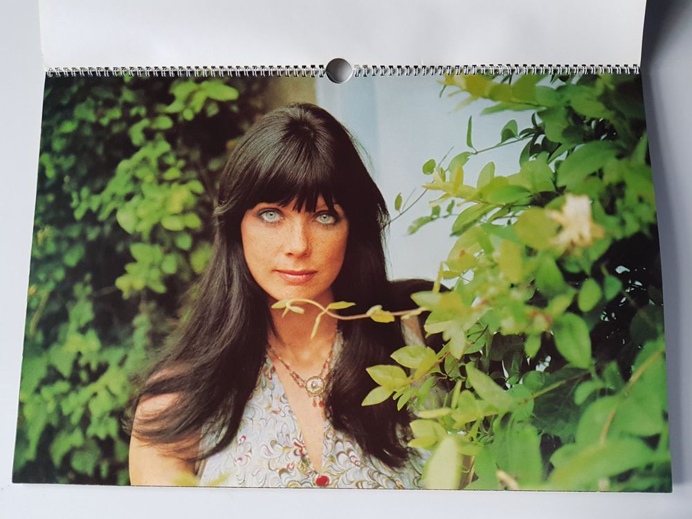 Calendrier Ciba-Geigy 1974, en très bon état. | Kaufen auf Ricardo