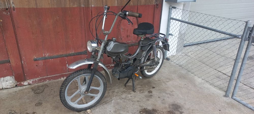 Pony Cilo (Gebraucht) in für CHF 750 – nur Abholung auf Ricardo kaufen