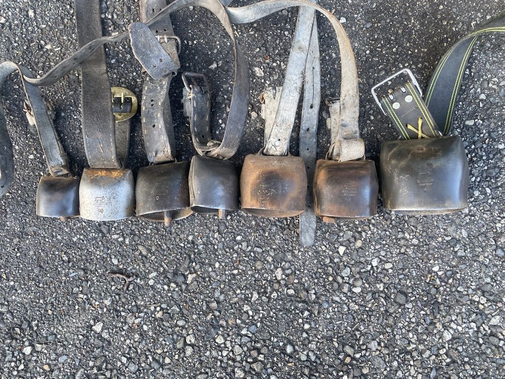 Lot de 7 Chamonix devouassoud | Kaufen auf Ricardo