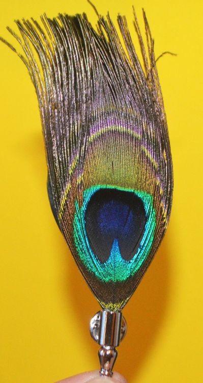 Brosche C-253B – Pfau Feder Pin Schwarz – 4,5 x 11 cm (Neu und ...