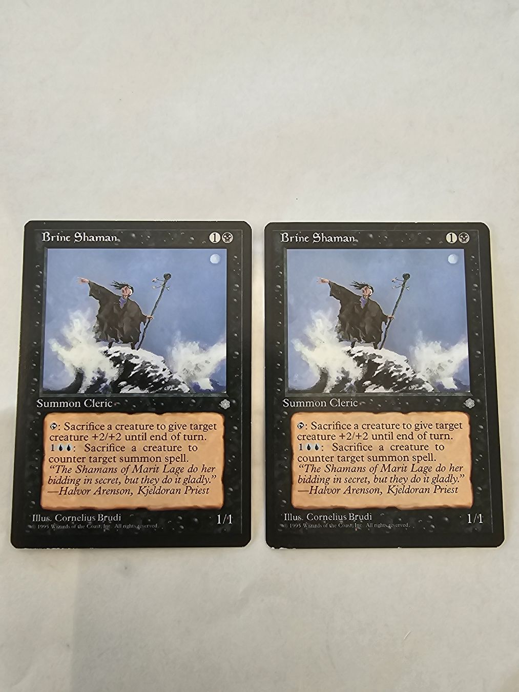 Magic The Gathering: 2 x Brine Shaman, (Gebraucht) in Wisen SO für CHF ...