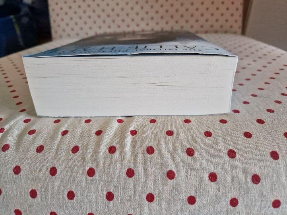 Callie Hart Quicksilver Fae & Alchemy 1 Enemies-to-Lovers (Neu (gemäss Beschreibung)) in ...