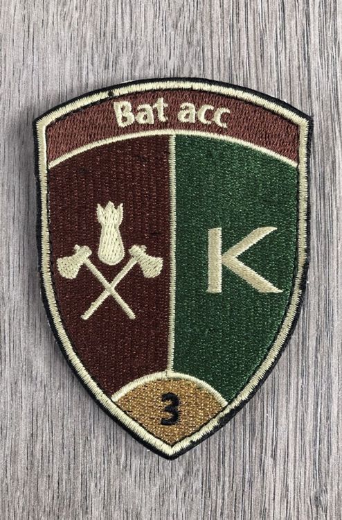 Schweizer Armee Bat acc 3 Uniform Badge (Gebraucht) in Maienfeld für ...