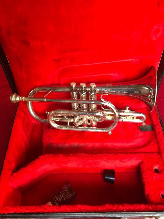 B-Cornet Getzen Capri (Gebraucht) in für CHF 189 – mit Lieferung auf ...