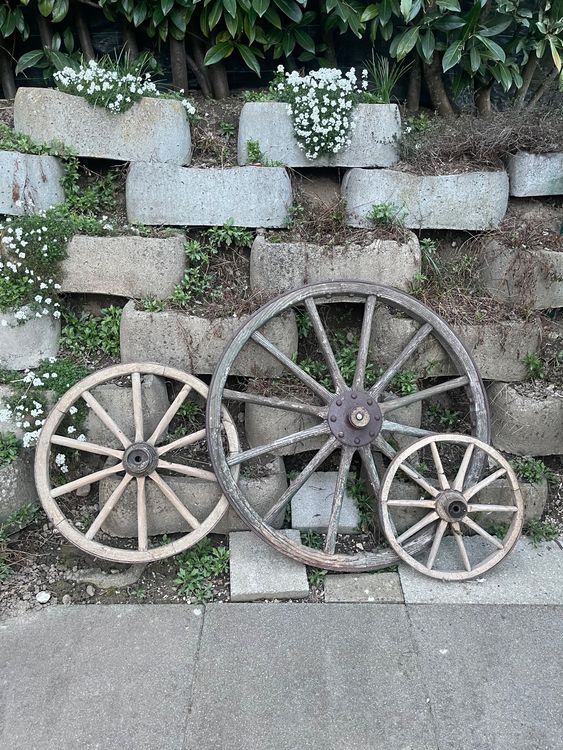Antike Holz- Wagenräder (Gebraucht) in Schlieren für CHF 50 – nur ...