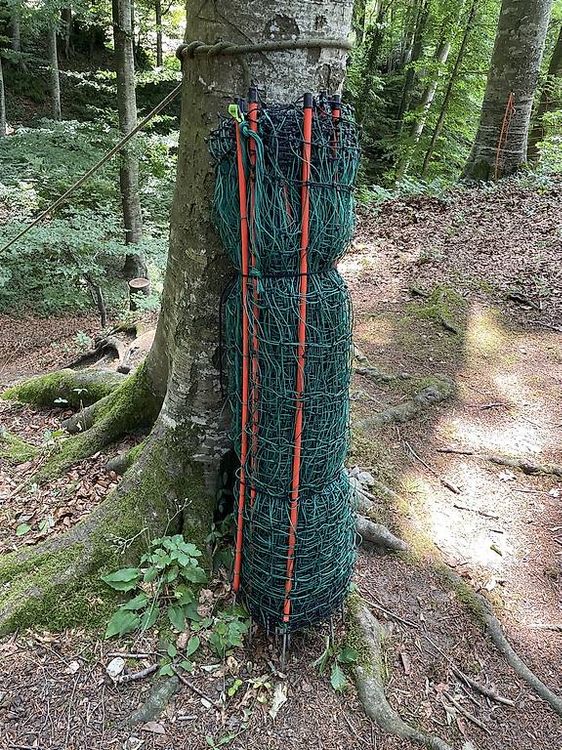 Weidenetz / Weidezaun 50m, 106cm (Gebraucht) in Gelterfingen für CHF 60 ...