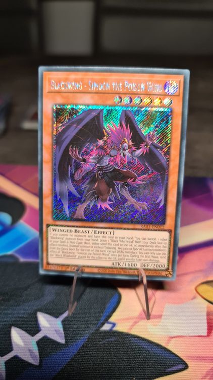 Yugioh!! Blackwing Simoon The Poison Wind (Neu (gemäss Beschreibung ...